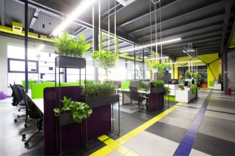 Büropflanzen: Diese Sind Die Besten Arten Für Ihren Arbeitsplatz!