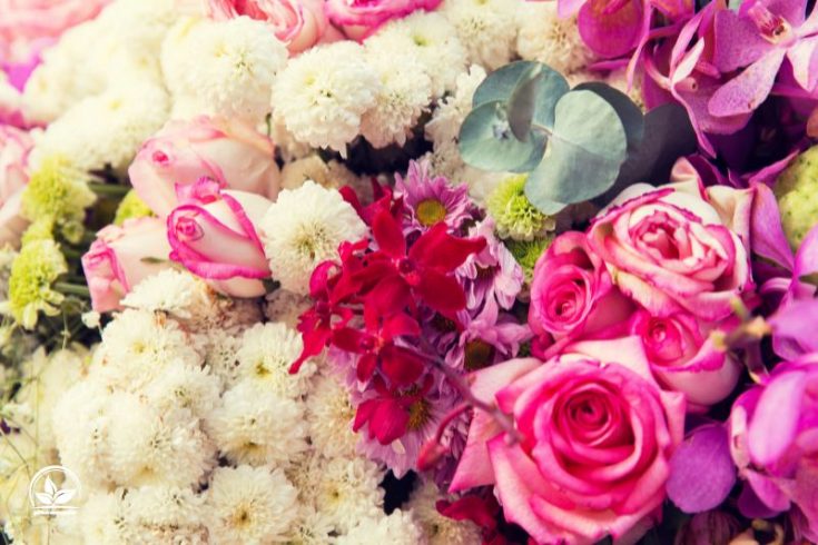 Bekannte Blumenarten: Ihr Lexikon Mit Den Schönsten Blumen Der Welt!