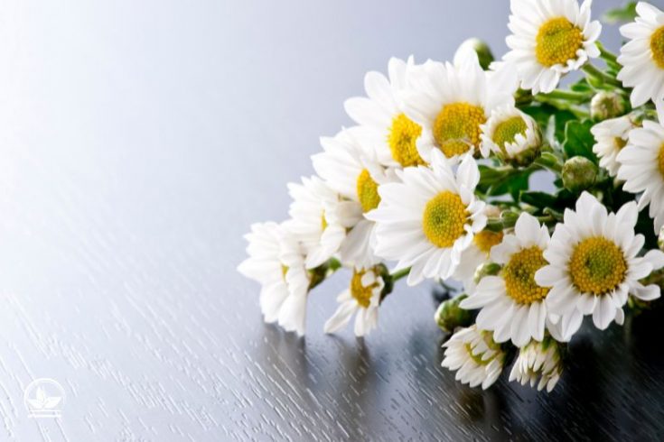 Grabblumen Auswählen: Die Richtigen Blumenarten Für Das Ewige Andenken