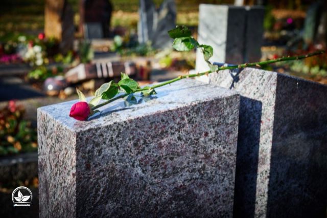 Grabblumen Auswählen: Die Richtigen Blumenarten Für Das Ewige Andenken