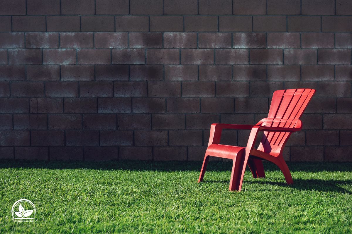 Windschutz Garten: Wie Schütze Ich Garten Vor Wind?