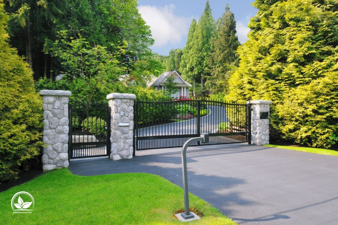 Einfahrt Gestalten Mit Pflanzen: Ideen Für Die Visitenkarte Des Hauses