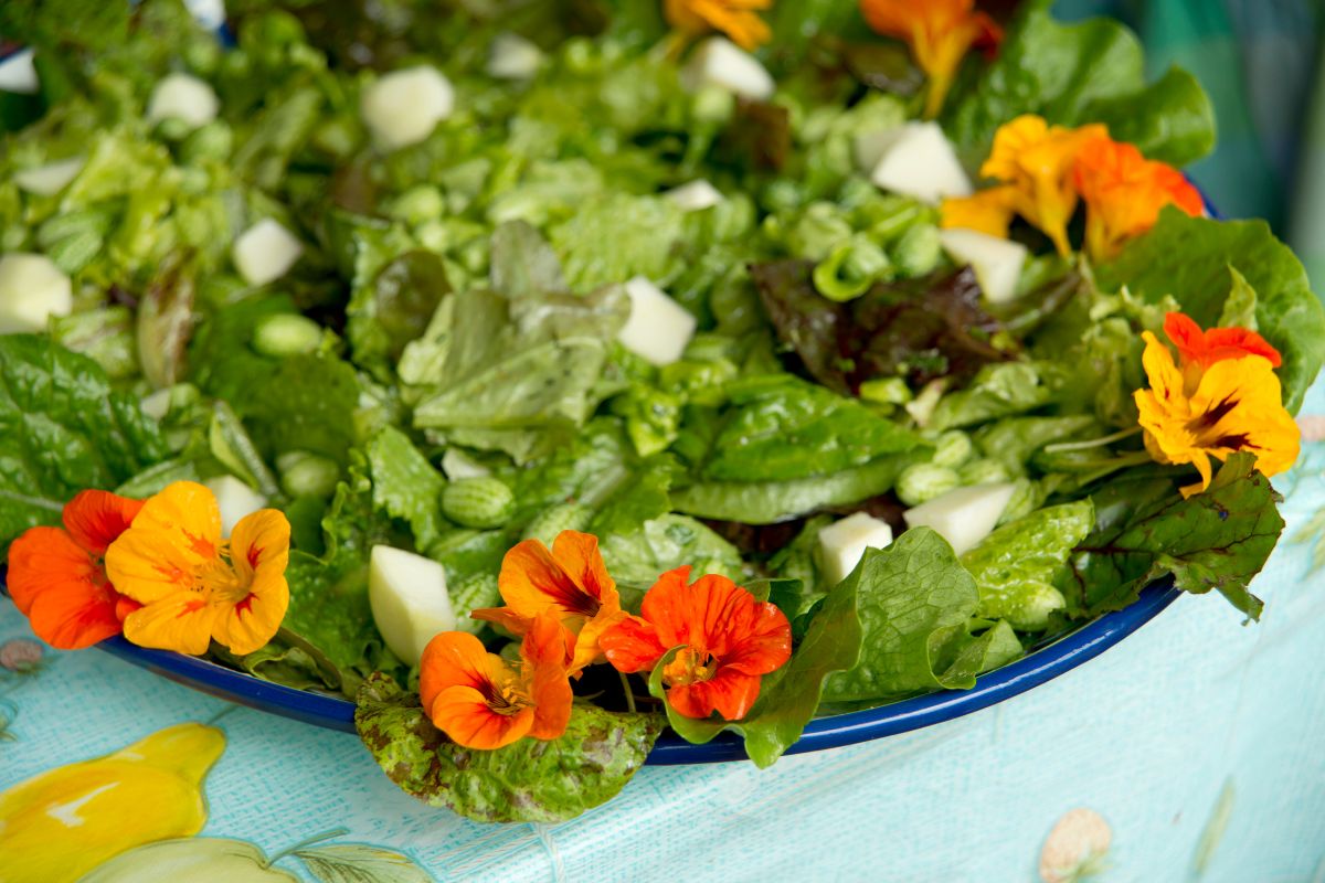 Diese Blumen Haben Essbare Blüten: Der Blütentraum Für Den Teller ...