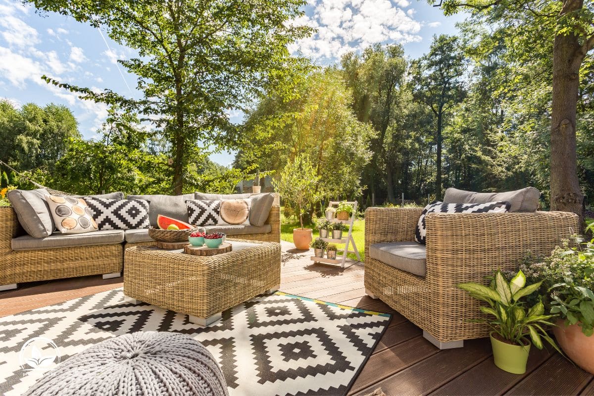 Baum Fur Terrasse