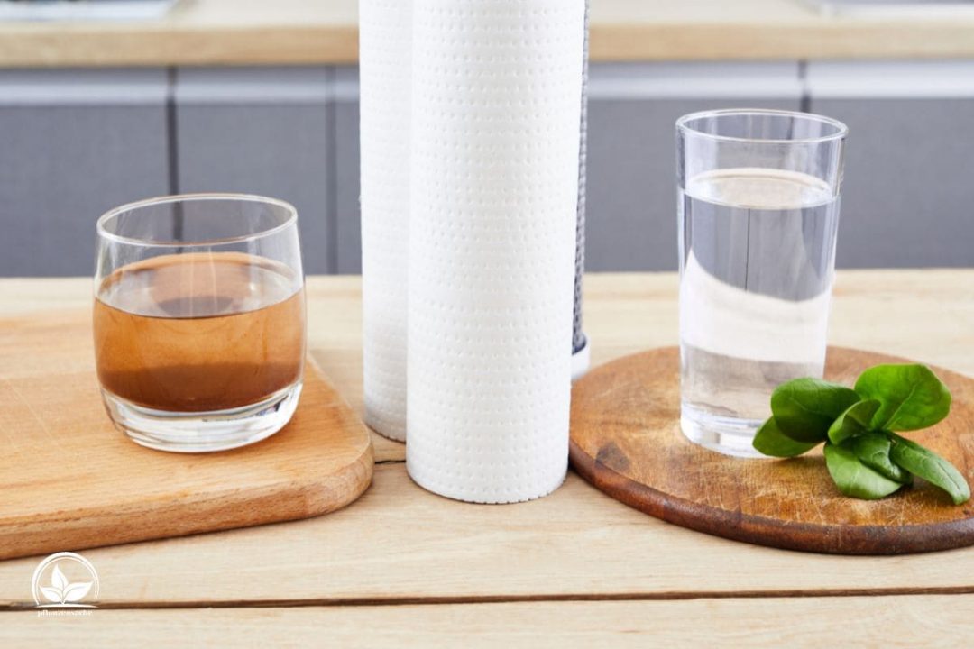 Destilliertes Wasser Für Pflanzen: Alles Was Du Wissen Solltest ...