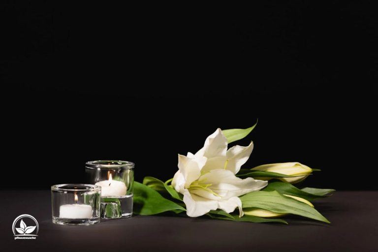 Mitgefühl Zeigen Mit Den Richtigen Trauerblumen: Symbolik & Bedeutung ...