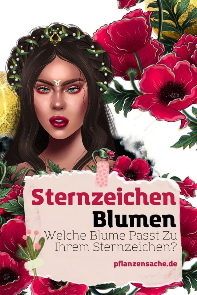 Welche Blumen Passen Zu Mir