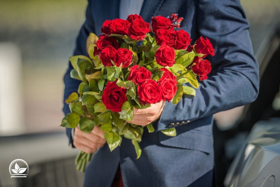 6 Blumen Für Männer: Dies Sind Die Idealen Blumen Für Den Männerstrauß!