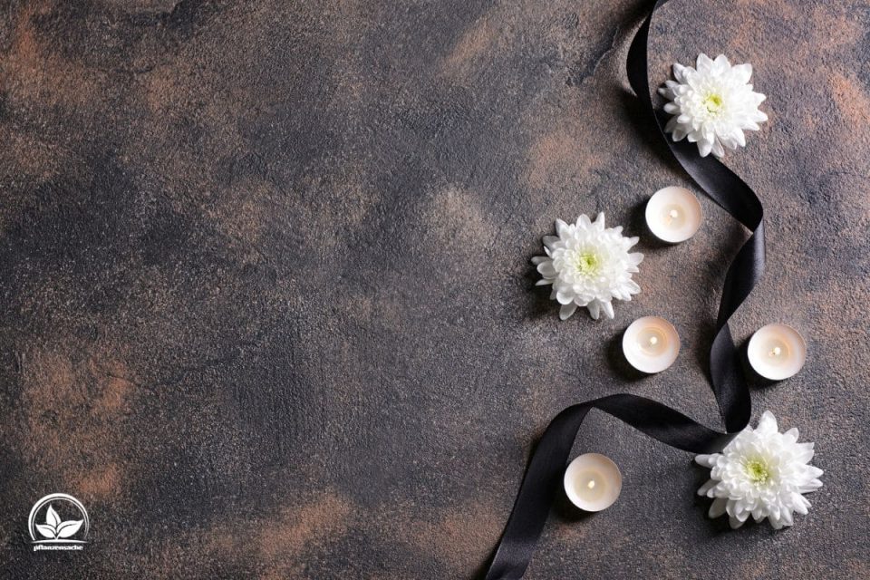 Mitgefühl Zeigen Mit Den Richtigen Trauerblumen: Symbolik & Bedeutung ...