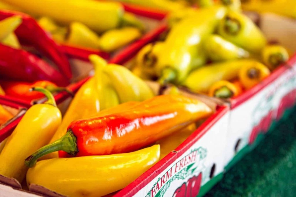 Wann sollte man Peperoni pflücken: Die 5 Anzeichen