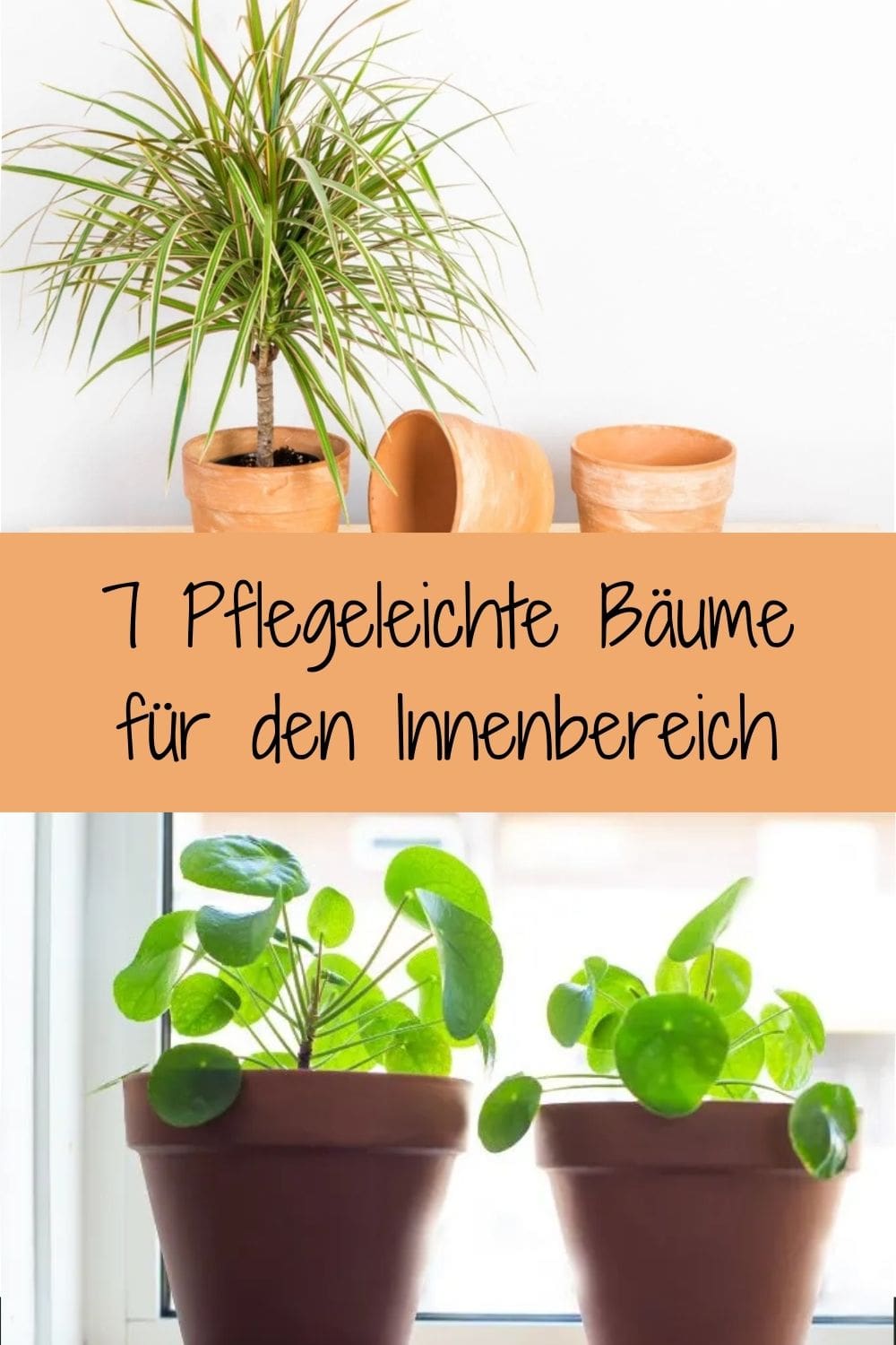 Baume Fur Innenraume