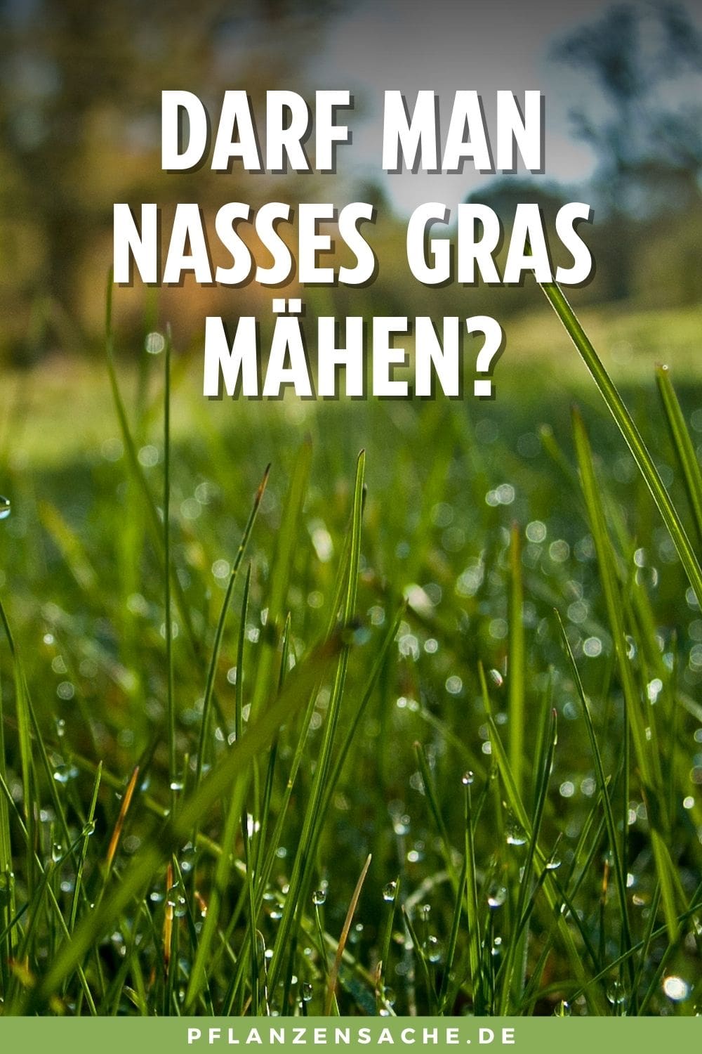Rasen Mahen Nachtfrost